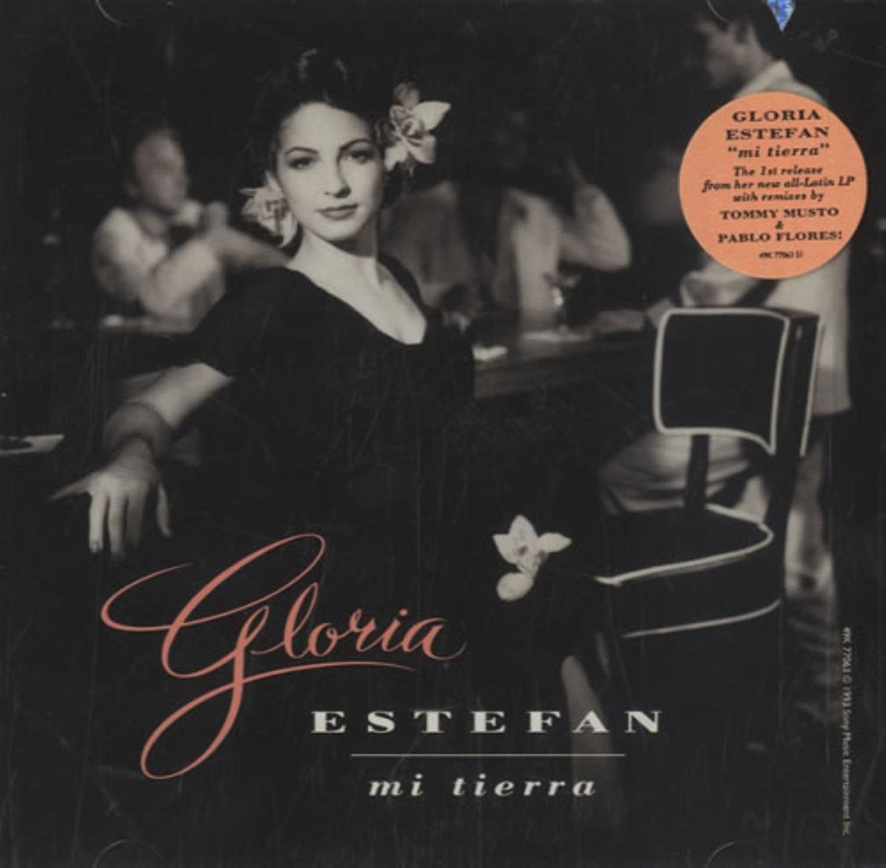 Mi Tierra : Estefan, Gloria: Amazon.fr: Musique