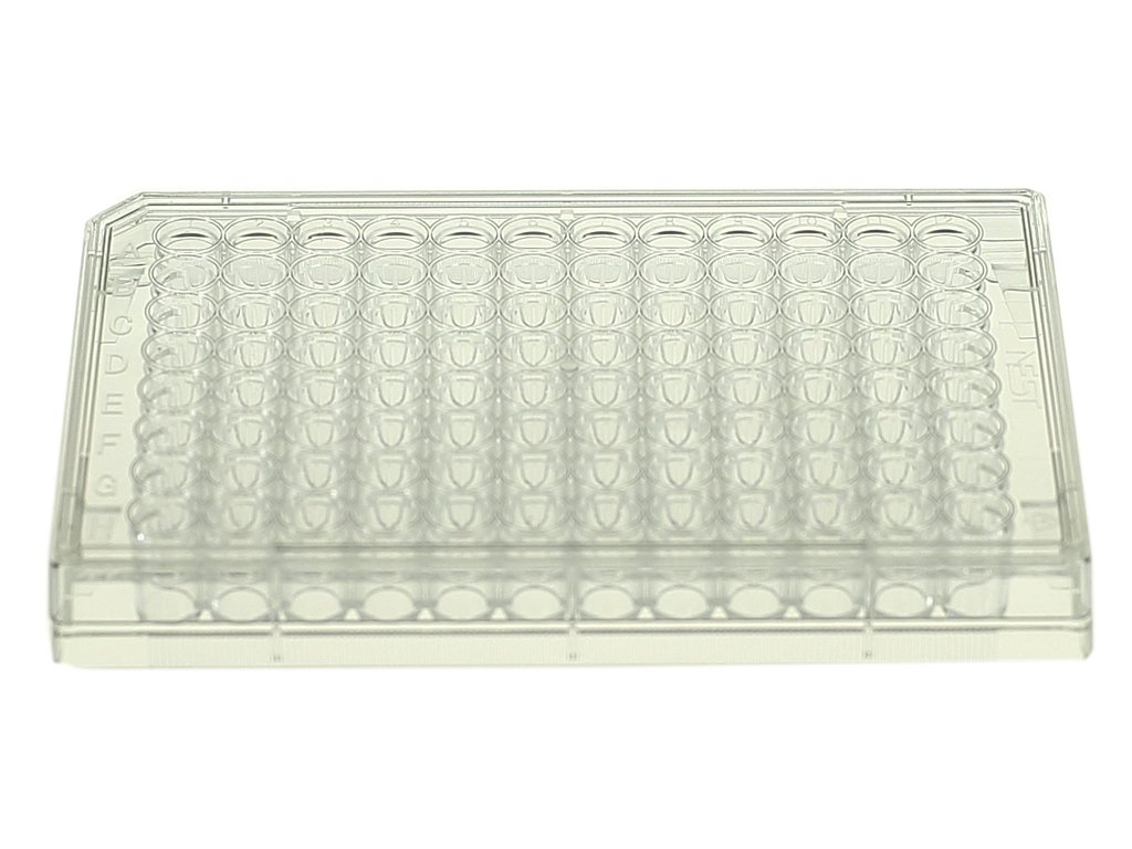 Cell Culture Microplates Bahrain | Buy Online | Whizz Others