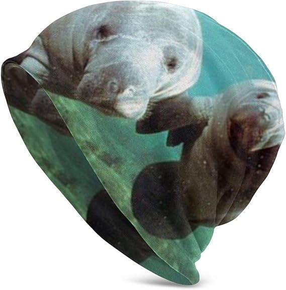 Amazon.com: Pair of Manatee Doug Perrine Ocean Animal Warm Knit Hats ...