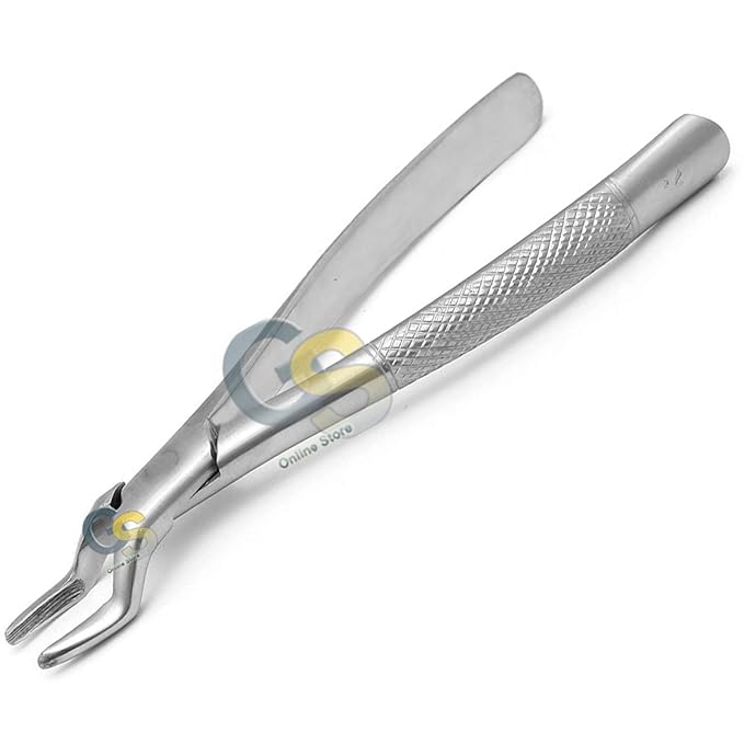 Amazon.com : Dental EXTRACTING Forceps #32 Dental Instruments : Beauty