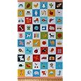 Amazon.com: 23.5" X 44" I-Spy Panel I Spy Patches Pictures Squares Kids ...
