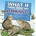What If There Were No Sea Otters?: A Book About the Ocean Ecosystem ...