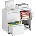 Amazon.com: NODHM Mobile Filing Cabinet with Lock,Metal Lateral File ...