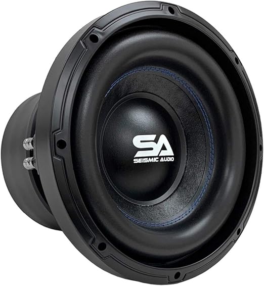 Amazon.com: Seismic Audio - SA-LAF102-10 Inch Dual 2 Ohm Car Audio ...