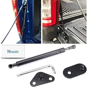 Amazon.com: Winunite F150 Tailgate Assist Shock Truck Lift Assist for F ...