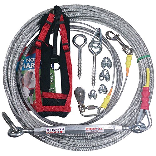 are-aerial-dog-runs-safe