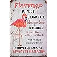 Amazon.com: Flamingo Wisdom Metal Sign - Inspirational Indoor Outdoor ...