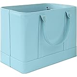 Amazon.com : Chic File Organizers (Black) : Office Products