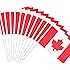 Amazon.com : Hand Held Canada Flag Canadian Flag Stick Flag Mini Flag ...