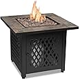 Amazon.com: Endless Summer 30 Inch Square 30,000 BTU LP Gas Outdoor ...