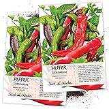 Capsicum annuum - How to grow & care