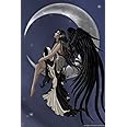 Amazon.com: Stargazer Black White Fairy On Moon by Nene Thomas Fantasy ...