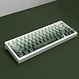 Amazon.com: Mintcaps PBT Doubleshot Keycaps 134 Keys Gradient Green ...