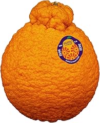 Amazon.com: Whole Foods Market