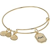 Amazon.com: Alex and Ani Womens Because I Love You A18BILY03RS Mom Charm Bangle Bracelet ...
