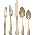Amazon.com: Oneida Aptitude Champagne Satin 20 Piece Flatware Set, 20PC FW, STAINLESS: Home ...