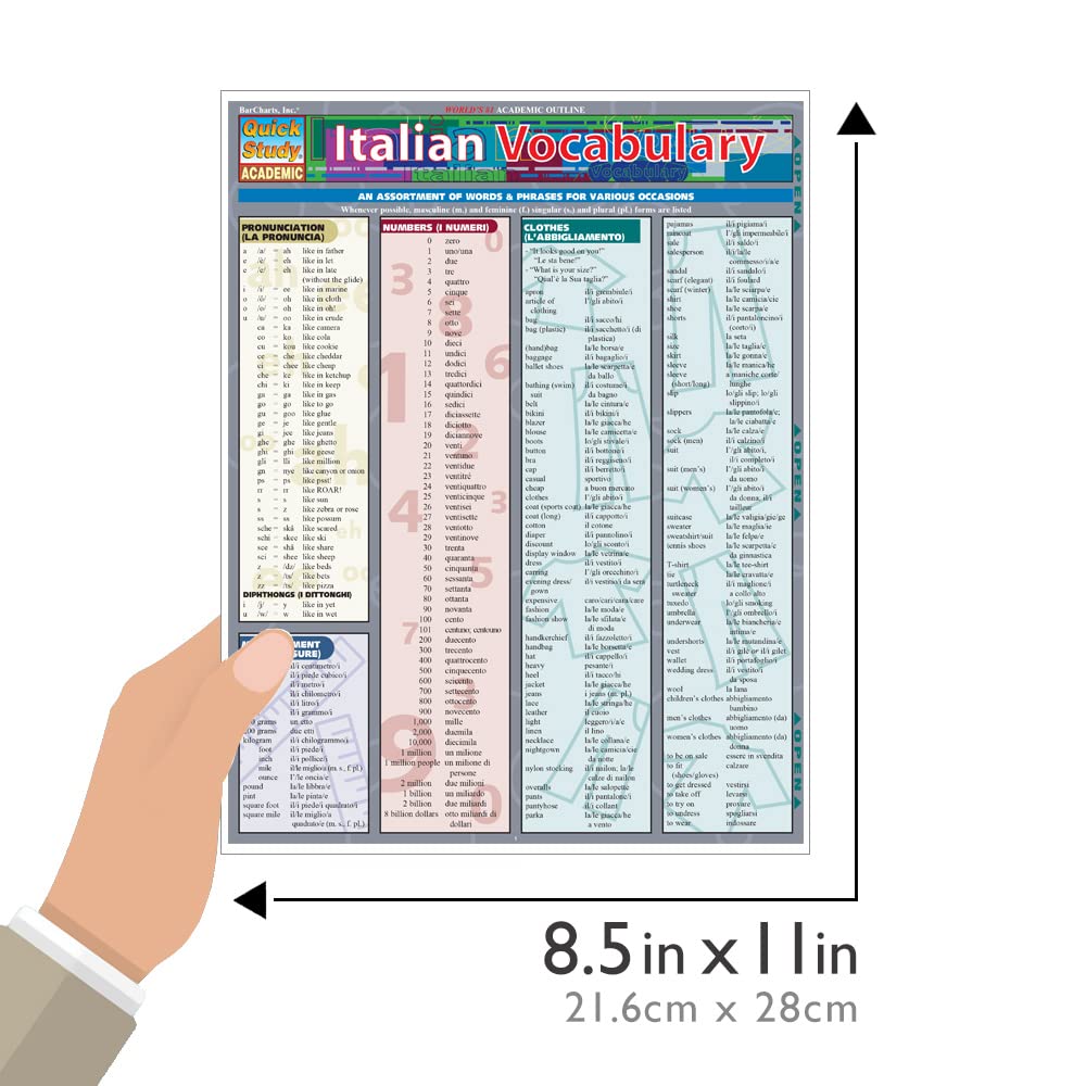Mua Italian Vocabulary QuickStudy Laminated Reference Guide (QuickStudy ...