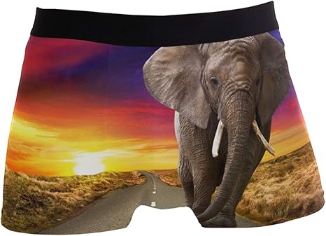 Linomo Men's Boxer Briefs Animal Elephant Boxers Shorts Underwear ...