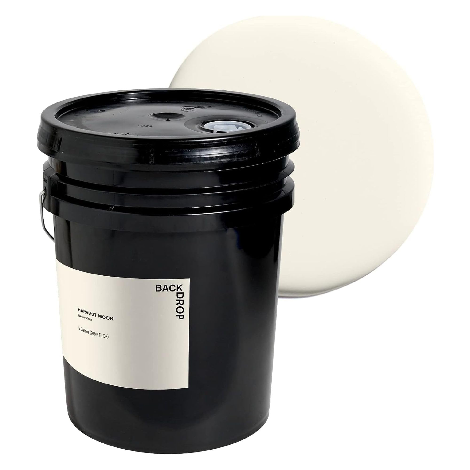 BACKDROP | Premium Interior Paint | Standard Semi Matte, Low Sheen ...