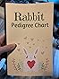 Rabbit Pedigree Chart: A Rabbit Pedigree Template To Keep Record of the ...