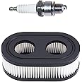 Amazon.com: 593260 Air Filter for Lawn Mower with Spark Plug, 593260 ...