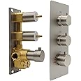 HOMEDEC Brushed Nickel 2 Way Shower Diverter Valve, Brass Dual Functions Thermostatic Shower ...