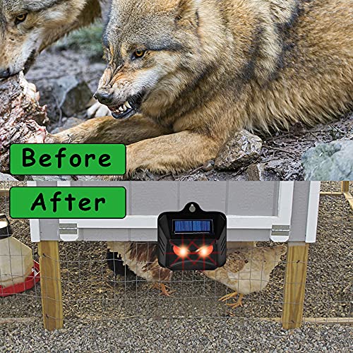Phosooy Solar Powered Animal Repeller, Predator Eye Animal Deterrent ...