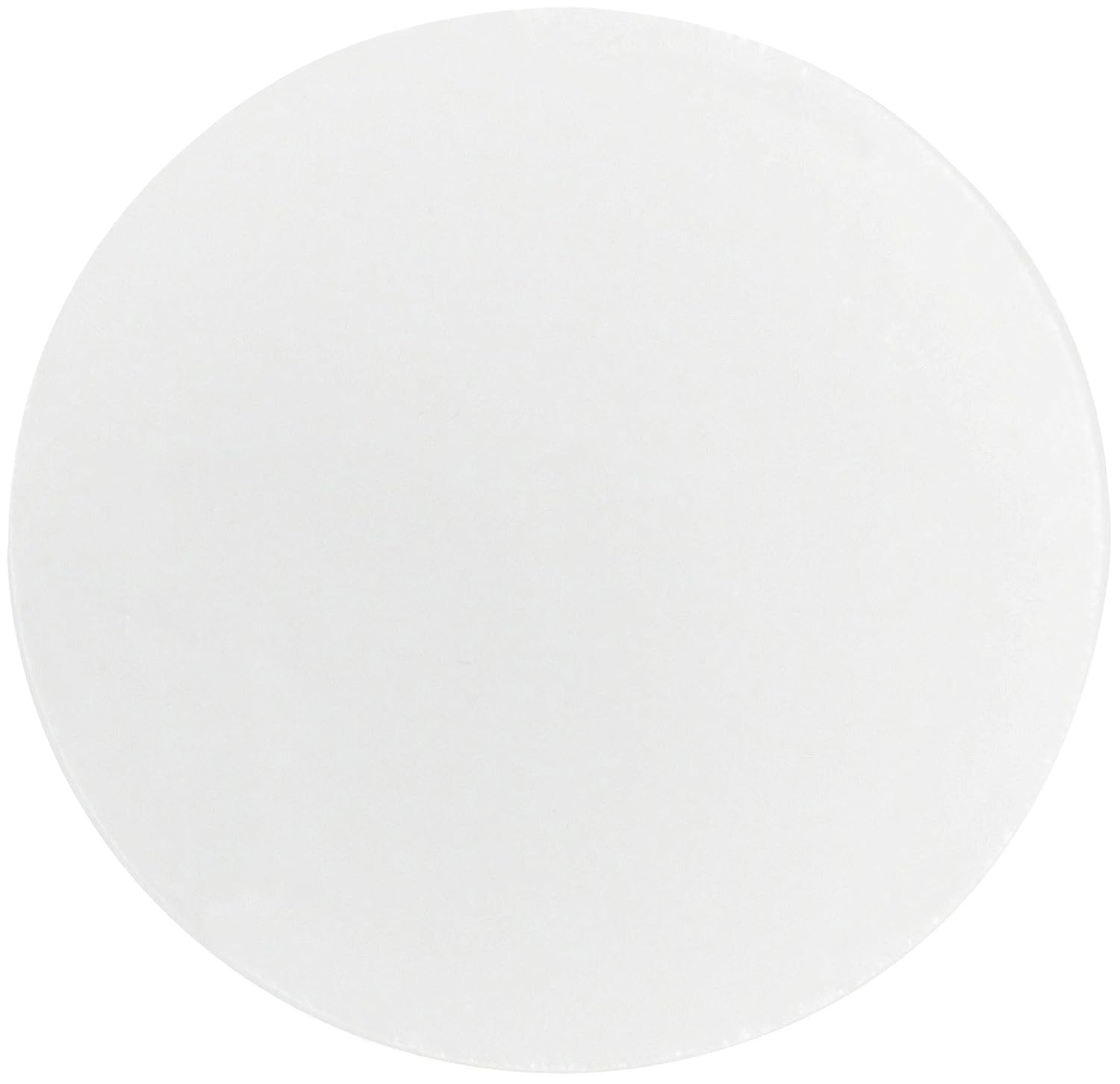 Pack of 100 Whatman 111106 Polycarbonate Nuclepore Track-Etched ...