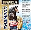 Banixx Medicated Anti-Fungal, Anti-Bacterial Shampoo in Kuwait | Whizz ...
