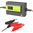 Amazon.com: 12V,24V,36V,48V Battery Desulfator, Automatic Pulse Battery ...