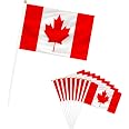 Amazon.com : Rotenl Canada Small Mini Flags, 25 Pack Hand Held Canadian ...