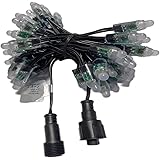 Amazon.com: Rextin WS2811 Pixels Digital Addressable LED String Lights ...
