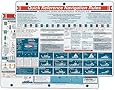 Davis Instruments Weather Forecasting Quick Reference Card: Amazon.ca: Sports & Outdoors