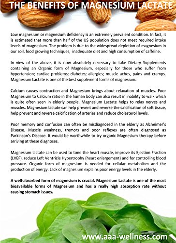 Magnesium Lactate 500 mg per Serving, 120 Easy to Swallow Small ...