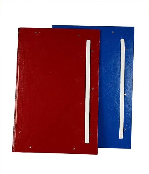 Art Ocean A2 Card Board File Folder-Set of 2: Amazon.in: Office Products