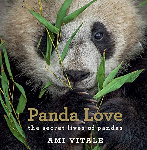 Amazon.com: Panda Love: The Secret Lives of Pandas: 9781784881276 ...