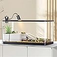 Amazon.com : (Tank + Light + Filter Balls) Turtle Tank Kit, Turtle Tank ...