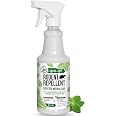 Amazon.com: Mighty Mint 16oz Peppermint Oil Rodent Repellent Spray ...