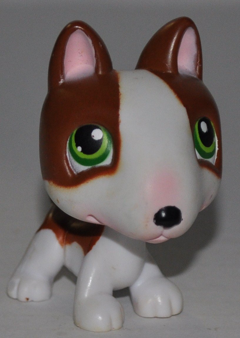 Amazon.com: Bull Terrier #154 (White, Brown Accents) - Littlest Pet ...