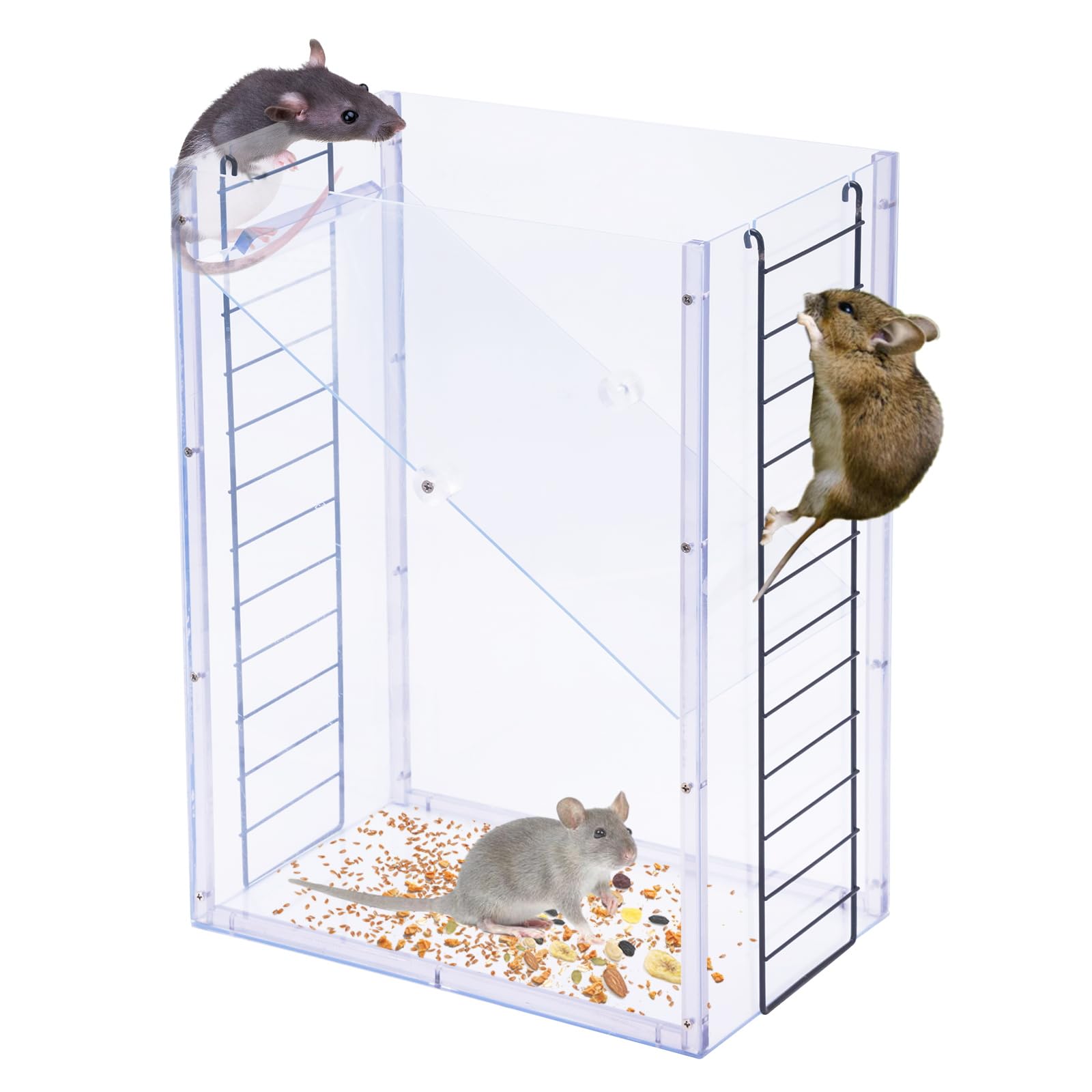 Rat Trap Cage, Humane Mouse Trap Cage, Squirrel Trap Cage No-Kill ...