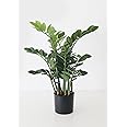 Amazon.com: Artificial ZZ Tropical Plant in Pot - 30" : Home & Kitchen