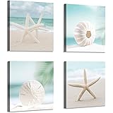 Amazon.com: Hardy Gallery Beach Seashell Picture Canvas Print: Coastal ...