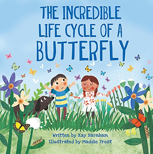The Amazing Life Cycle of Butterflies (Reading Level I) | World's ...