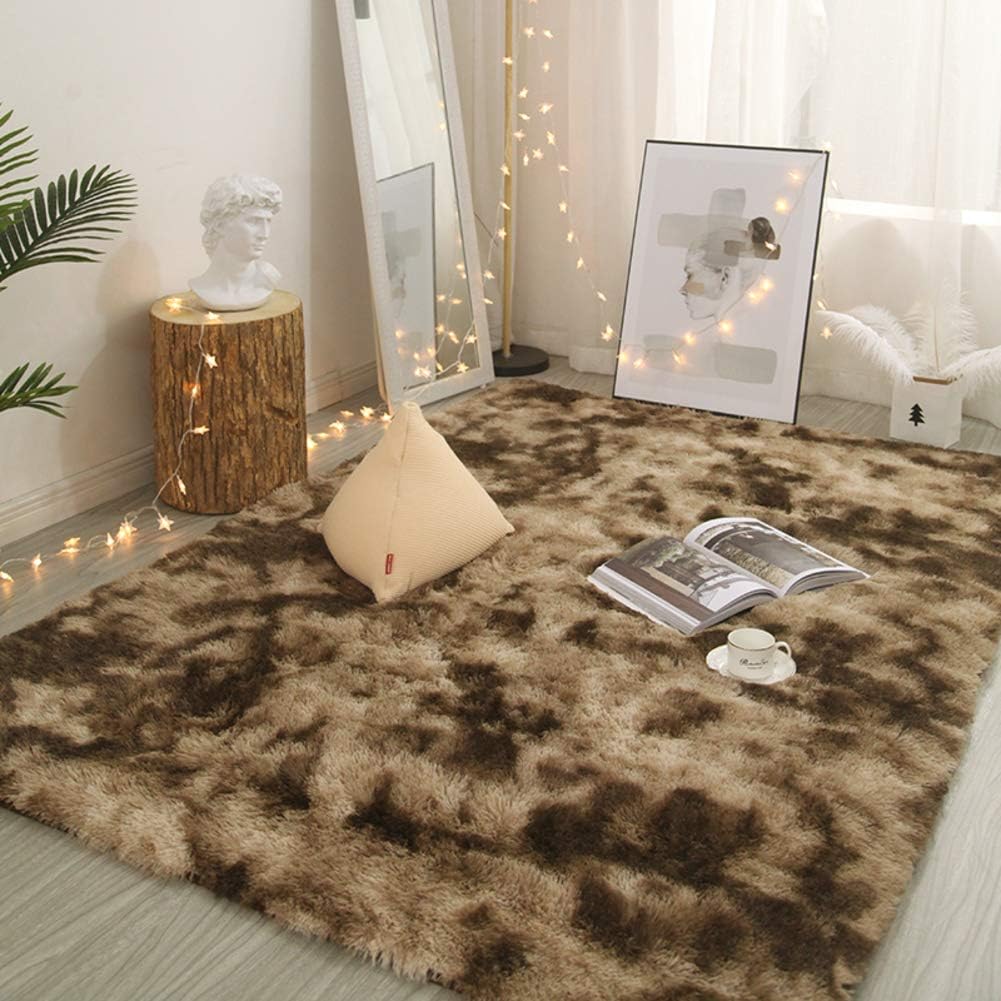 Amazon.com: Modern Fuzzy Shaggy Long Hair Carpet, Living Room Large ...