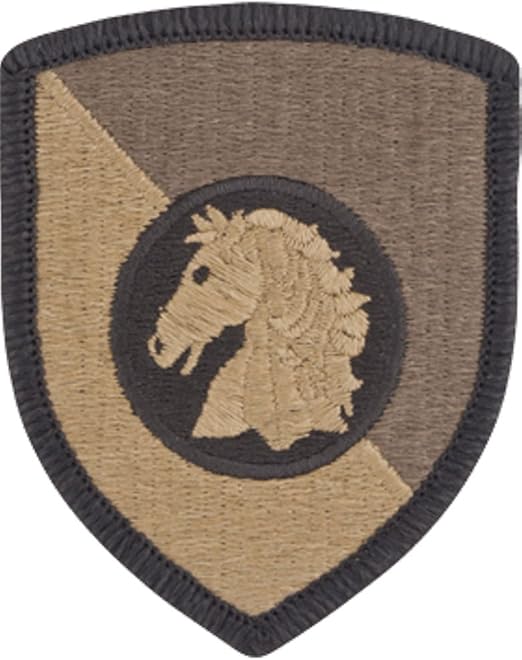 Amazon.com: 300th Sustainment Brigade OCP Multicam (TM) Patch: Military ...