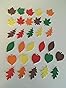 Amazon.com: Fun Express Fabulous Foam Fall Adhesive Leaf Shapes - Bulk ...