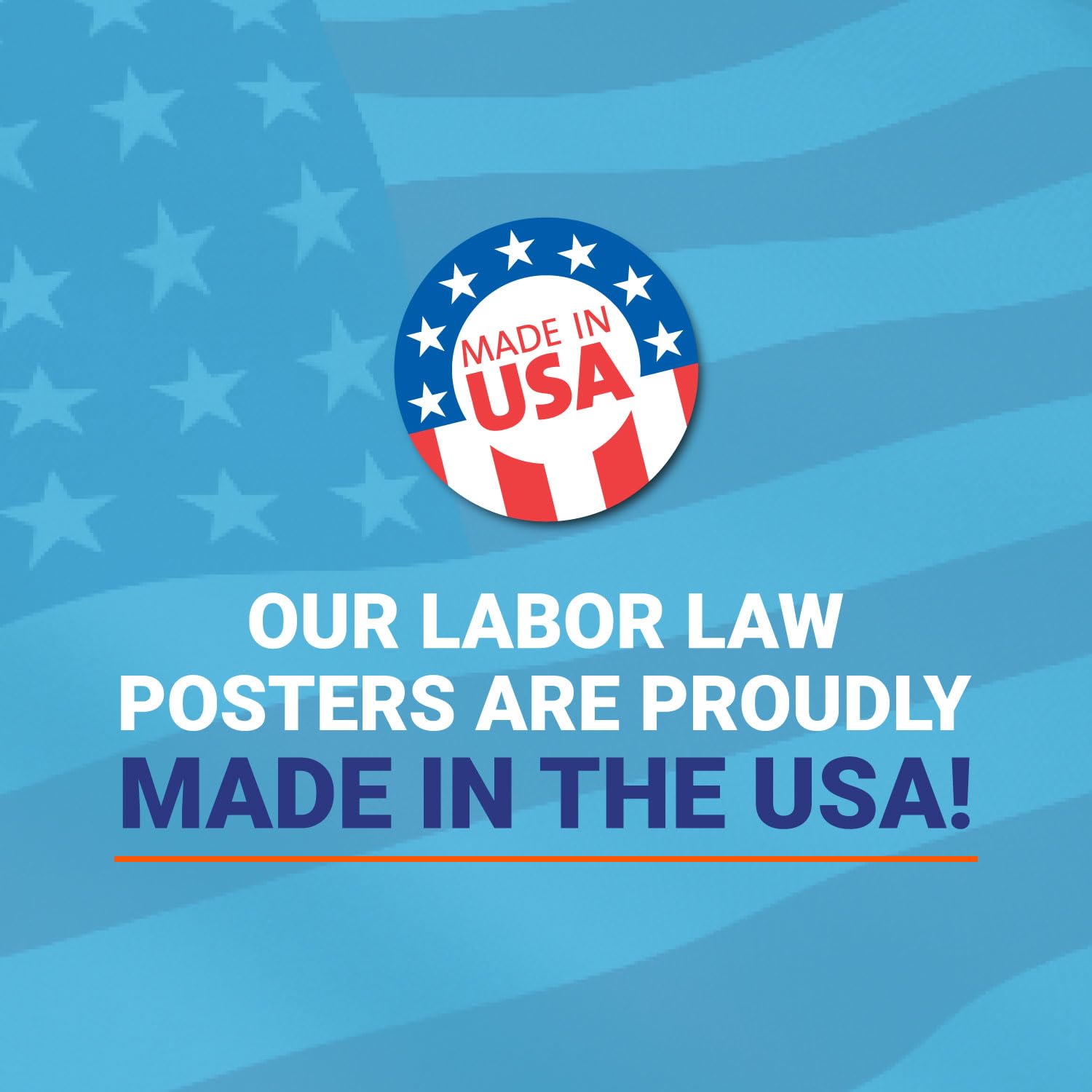 Mua 2026 New York State and Federal Labor Law Poster - English Version ...