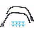 Amazon.com: labwork Fender Flares Set Replacement for 2014-2017 ...