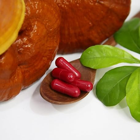 Mua VOS GANOLUCIDUM - Red Reishi Mushroom Supplements Capsules for ...