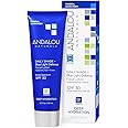 Amazon.com: Andalou Naturals Face Sunscreen, SPF 30 Daily Shade + Blue ...